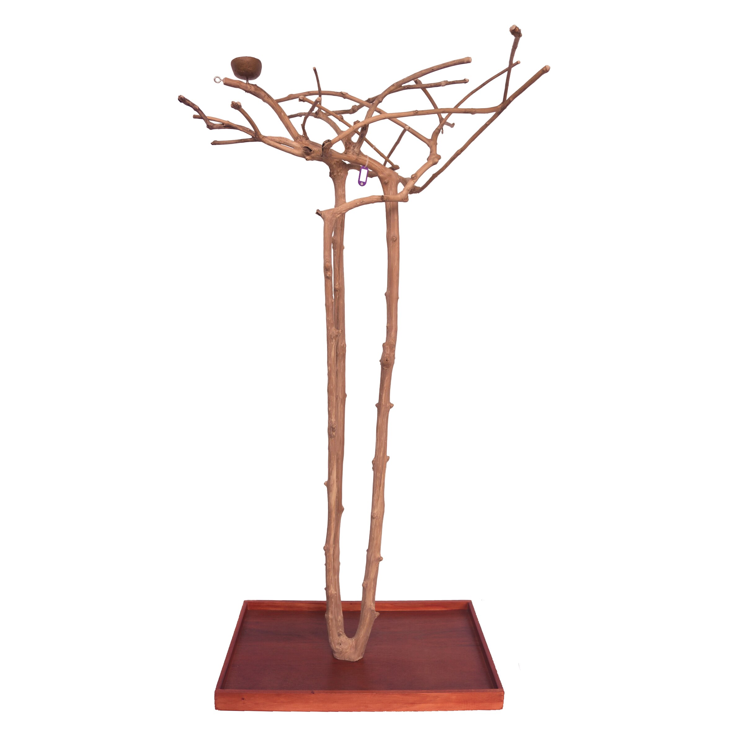 PYT-AE500XL-085 - 28"x18" XLarge Java Wood Table Top Play Stand