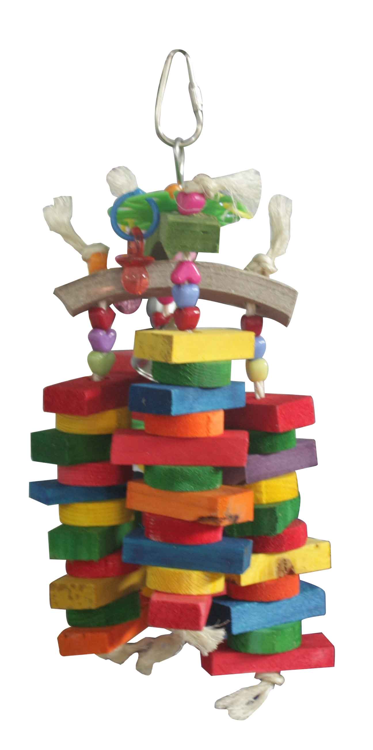 HB01437 - Rainbow Forager