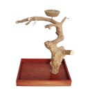 Pick Your Own Java Tree