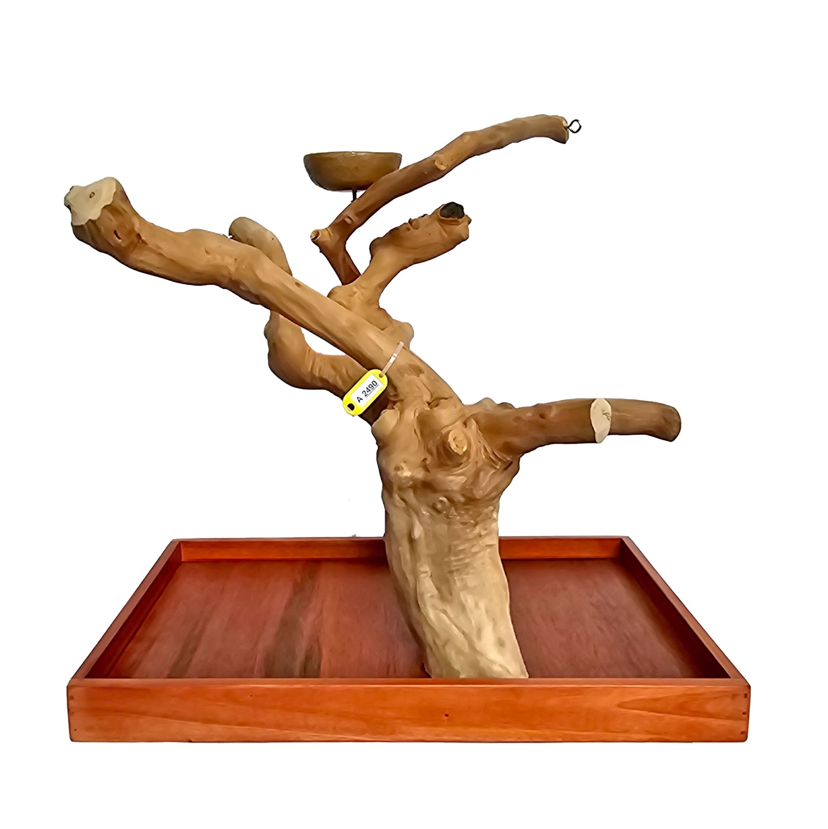 PYT-AE500M-A2490 - 22"x14" Medium Java Wood Table Top Play Stand