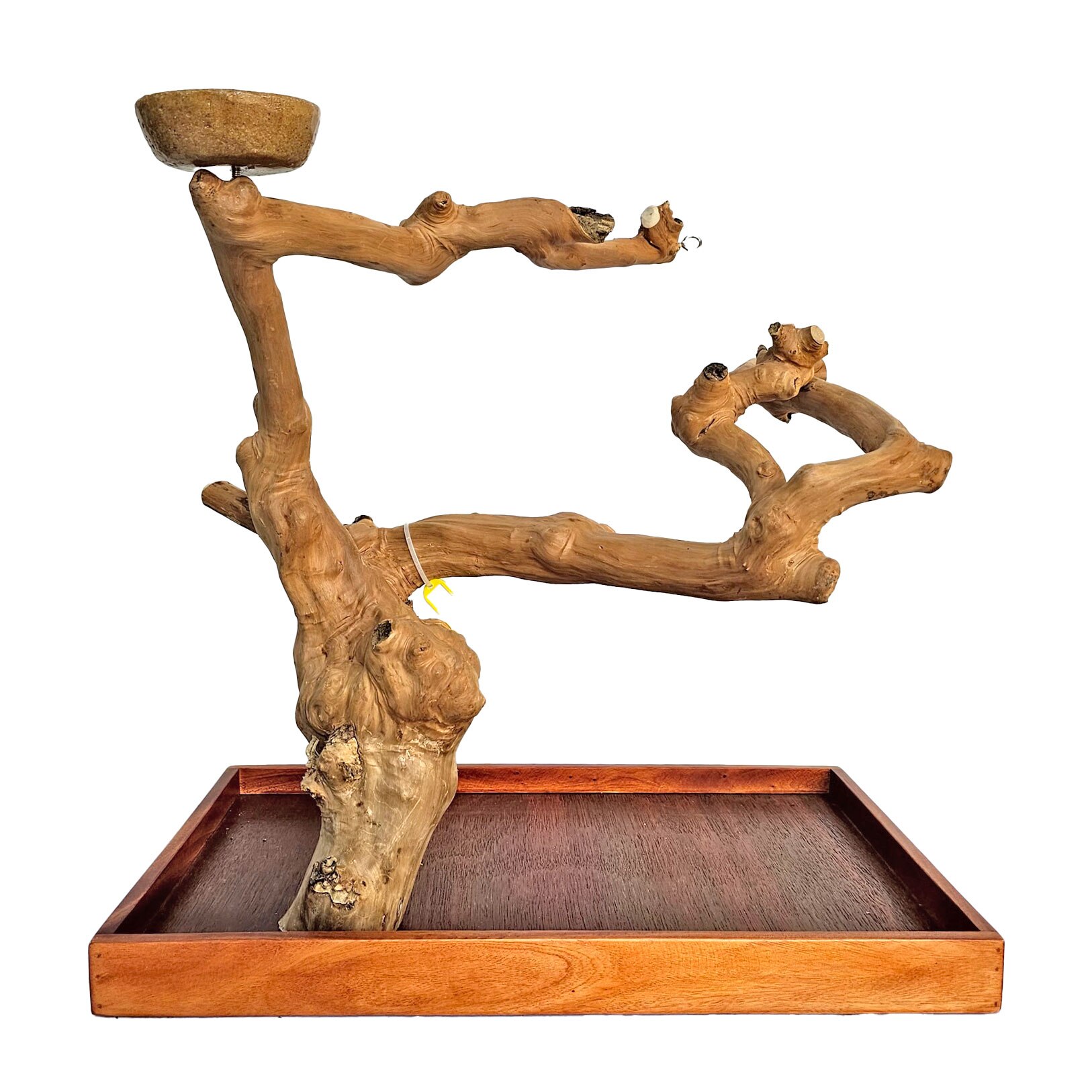 PYT-AE500M-A2518 - 22"x14" Medium Java Wood Table Top Play Stand