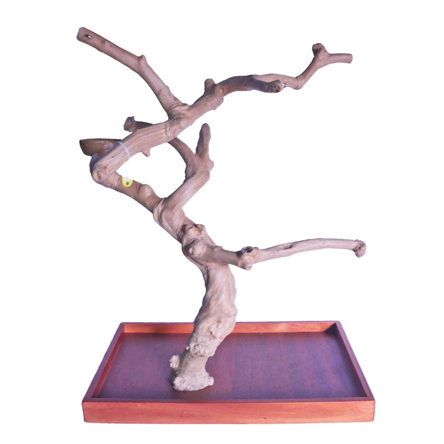 PYT-AE500M-A2577 - 22"x14" Medium Java Wood Table Top Play Stand