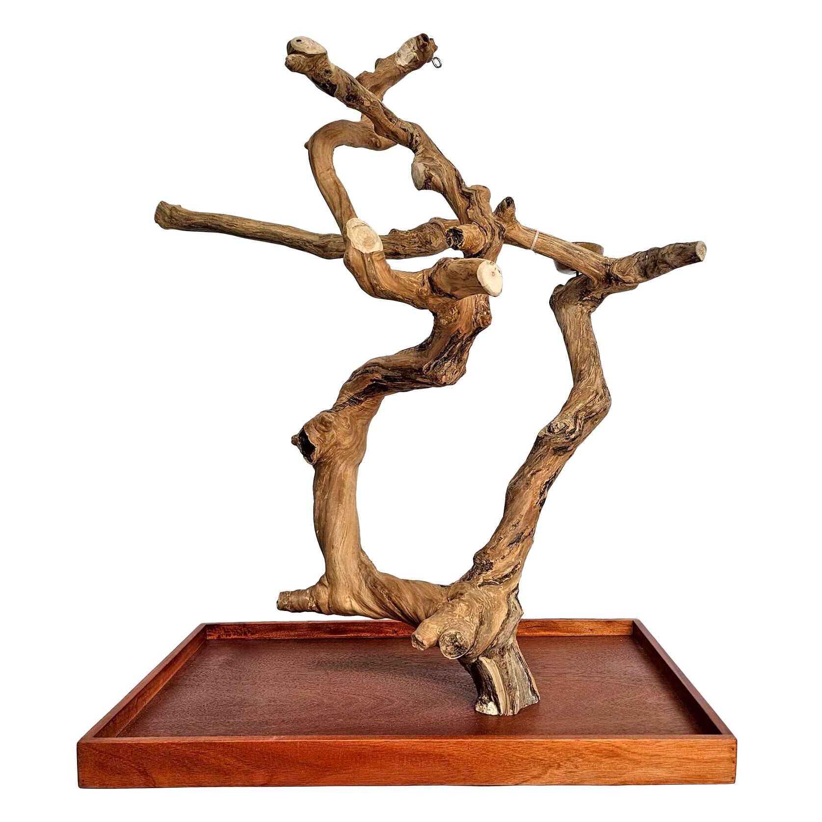 PYT-AE500L-A3134 - 28"x18" Large Java Wood Table Top Play Stand