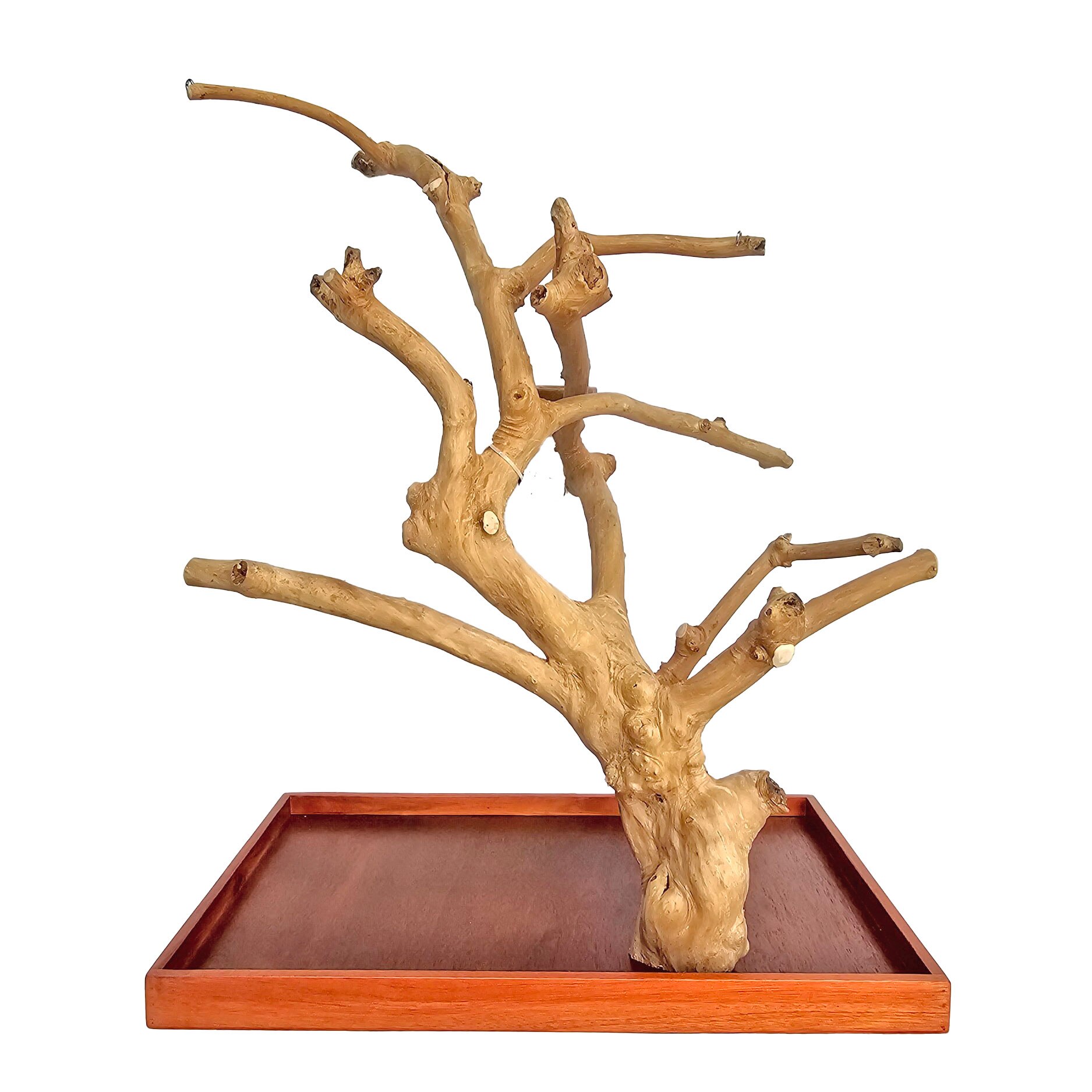 PYT-AE500L-A3140 - 28"x18" Large Java Wood Table Top Play Stand