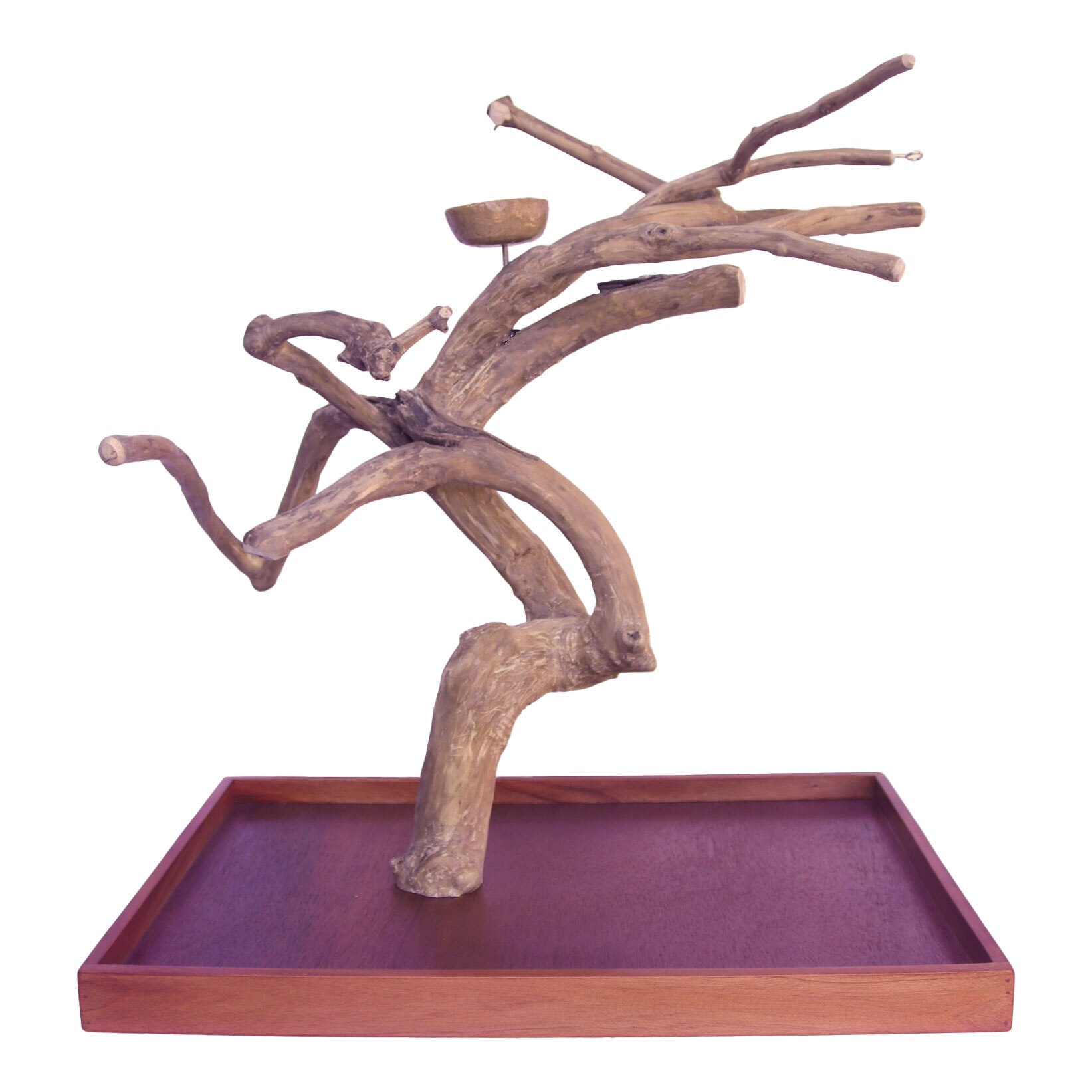 PYT-AE500L-A3172 - 28"x18" Large Java Wood Table Top Play Stand