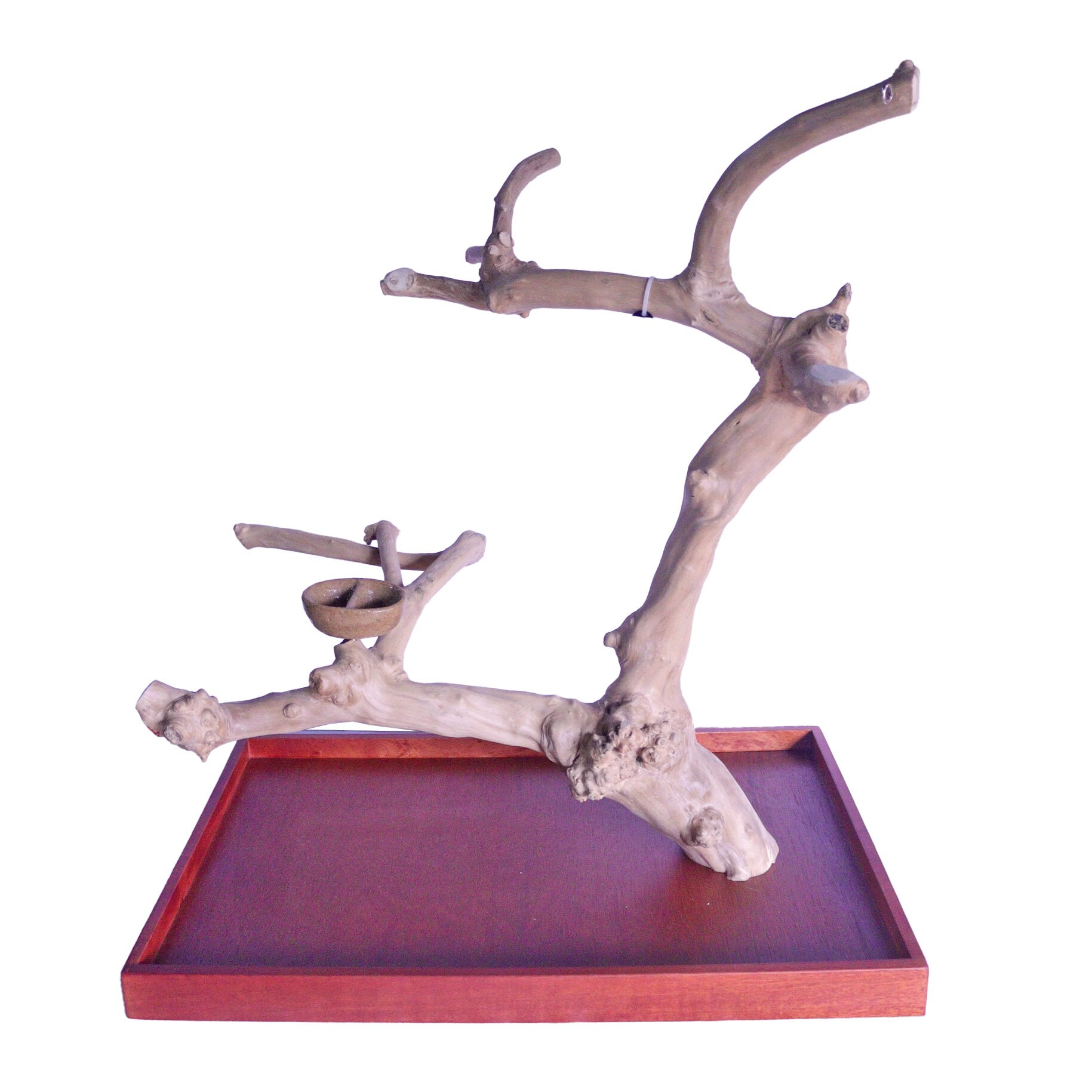 PYT-AE500L-A3177 - 28"x18" Large Java Wood Table Top Play Stand