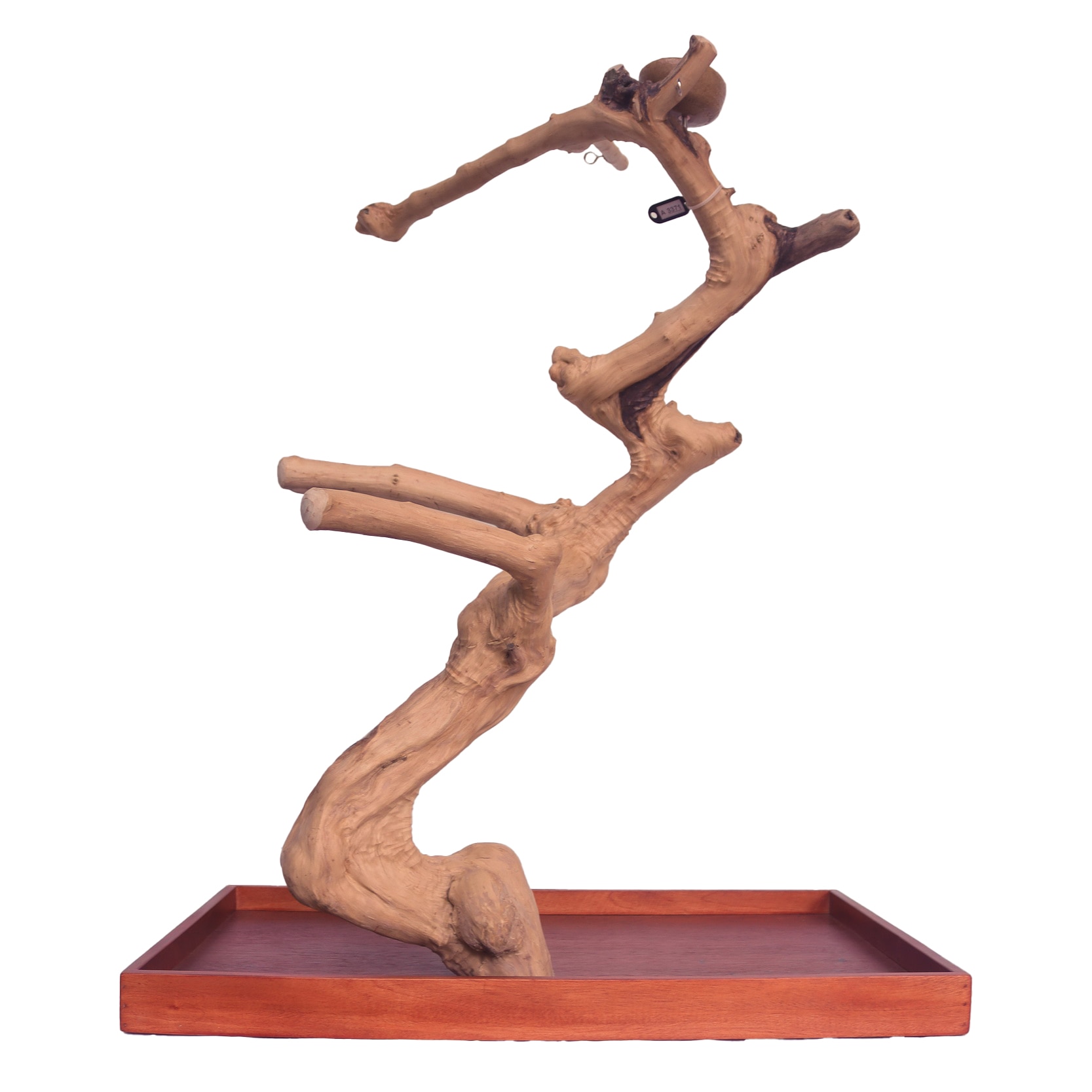 PYT-AE500L-A3371 - 28"x18" Large Java Wood Table Top Play Stand