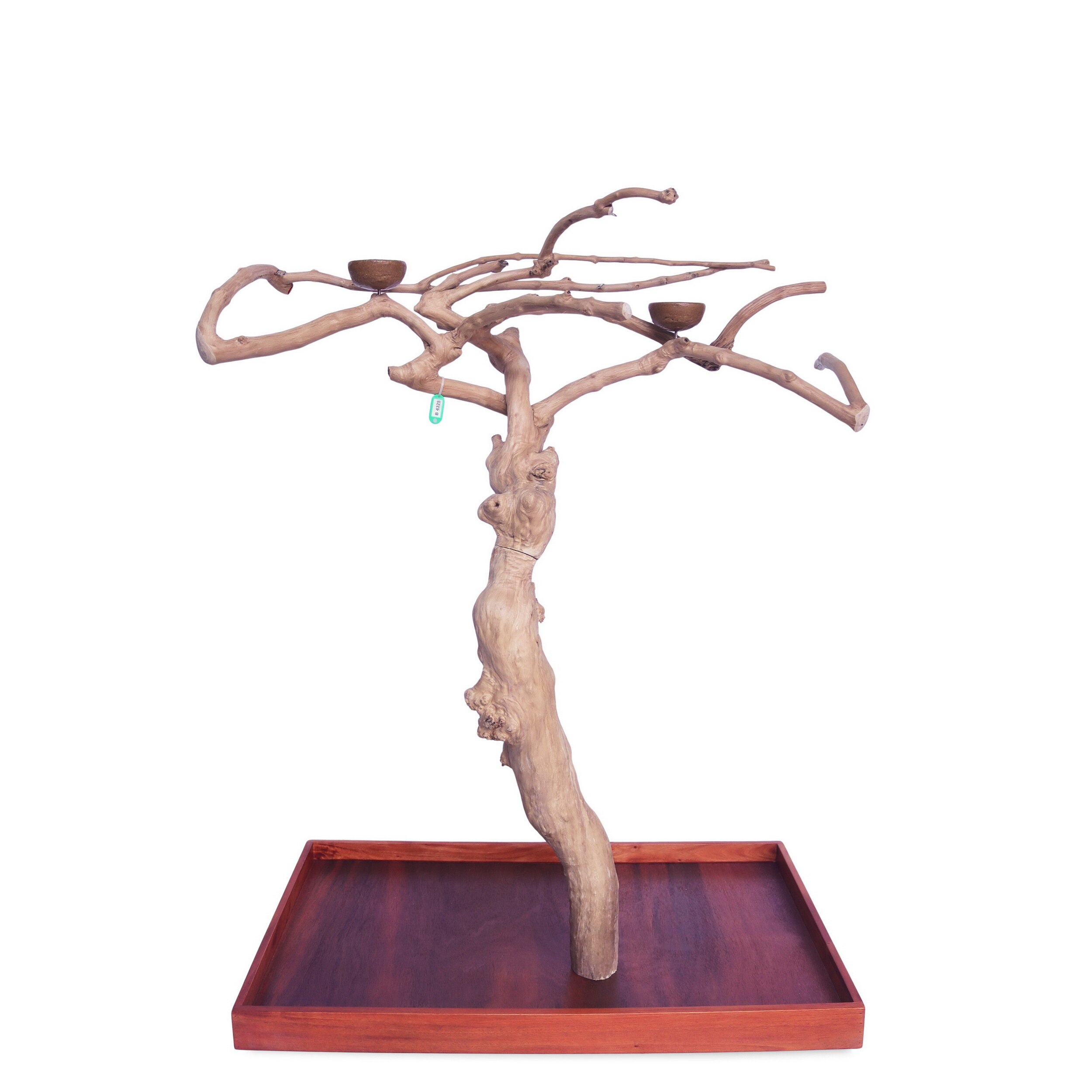 PYT-AE250S-B4325 - 40"x24"x55" Small Java Wood Tree Boxed