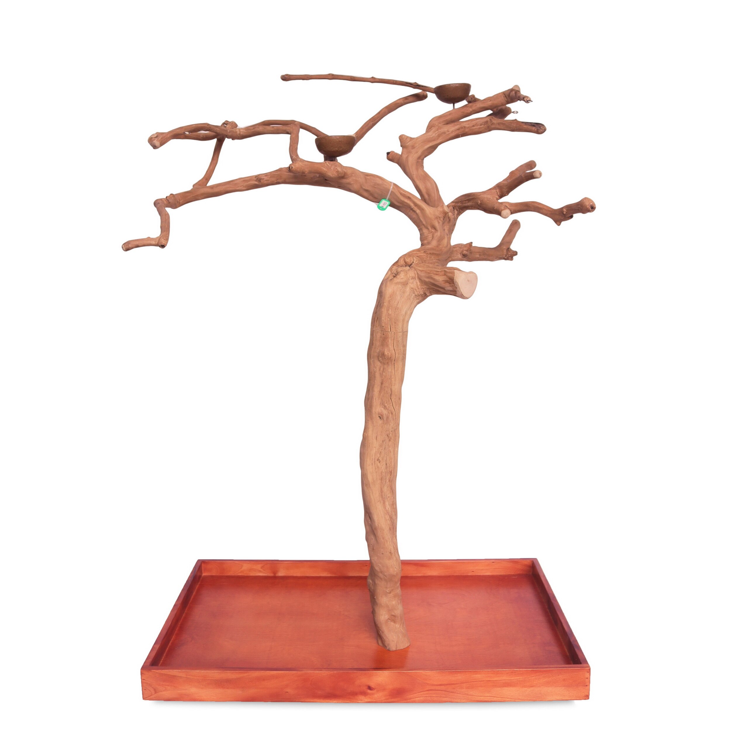 PYT-AE250S-B4352 - 38"x24"x60" Small Java Wood Tree Boxed