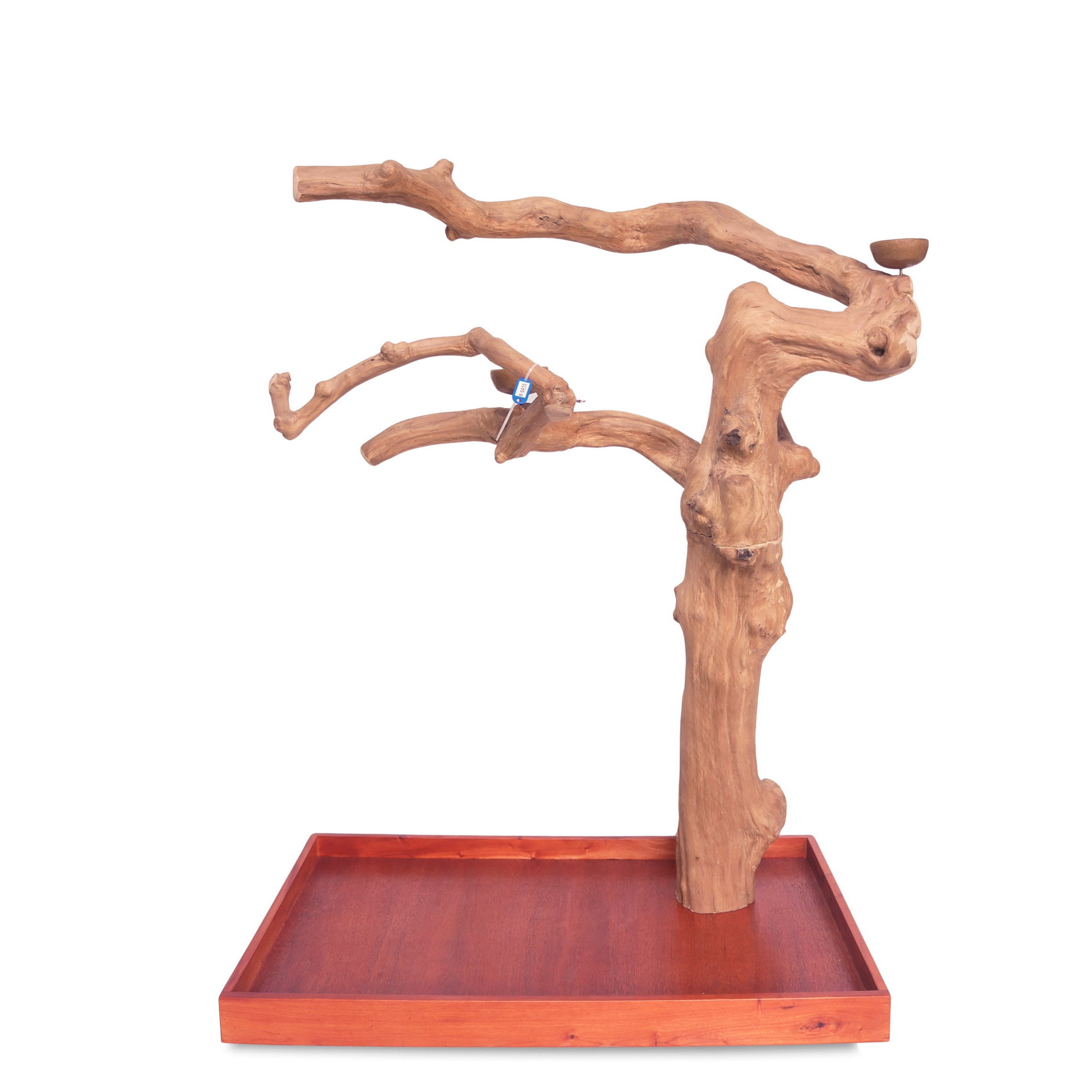 PYT-AE250L-B6415 - 40"x24"x56" Large Java Wood Tree Boxed