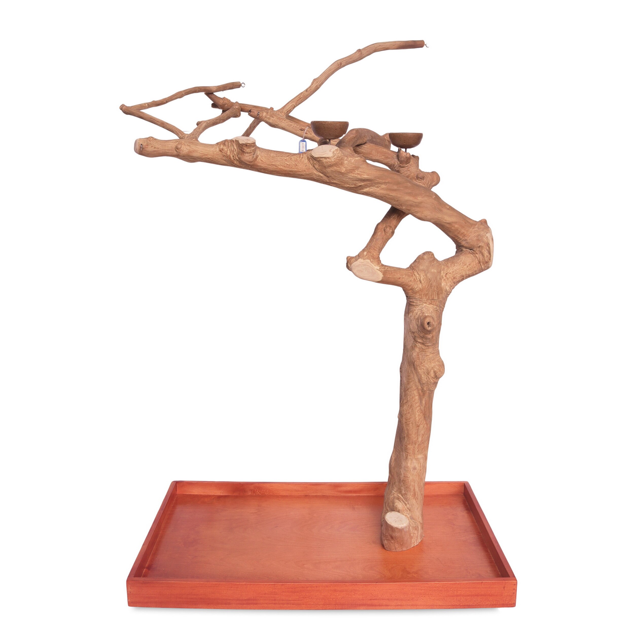 PYT-AE250L-B6419 - 40"x24"x62" Large Java Wood Tree Boxed