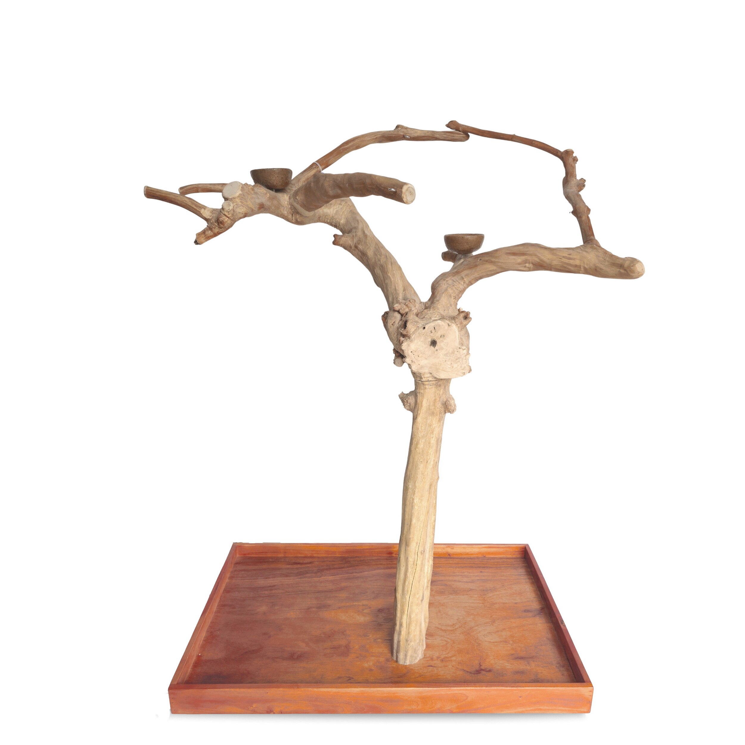 PYT-AE250L-B6545 - 40"x24"x58" Large Java Wood Tree Boxed