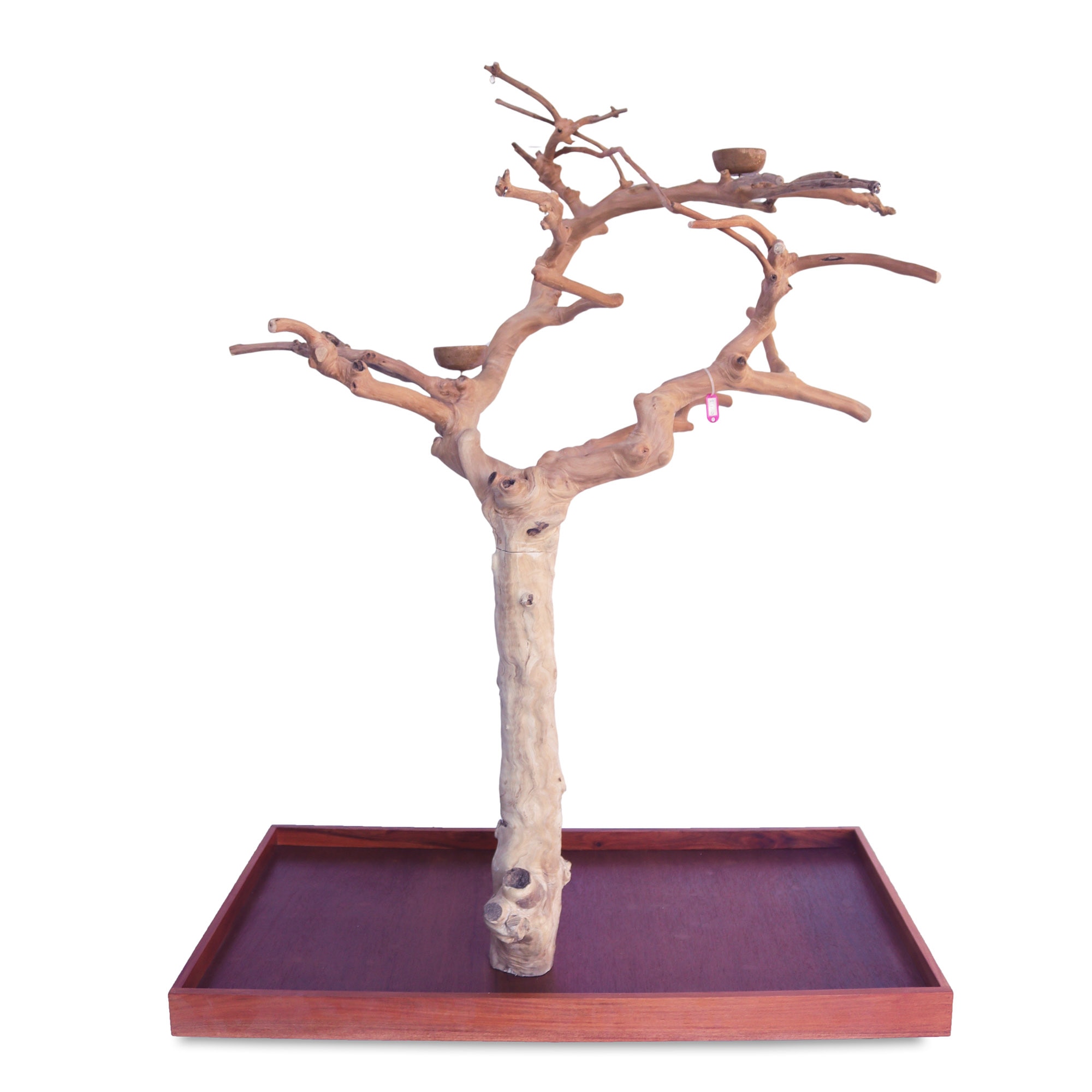 PYT-AE200S-C7116 - 48"x24"x64" Small PYO Java Wood Tree