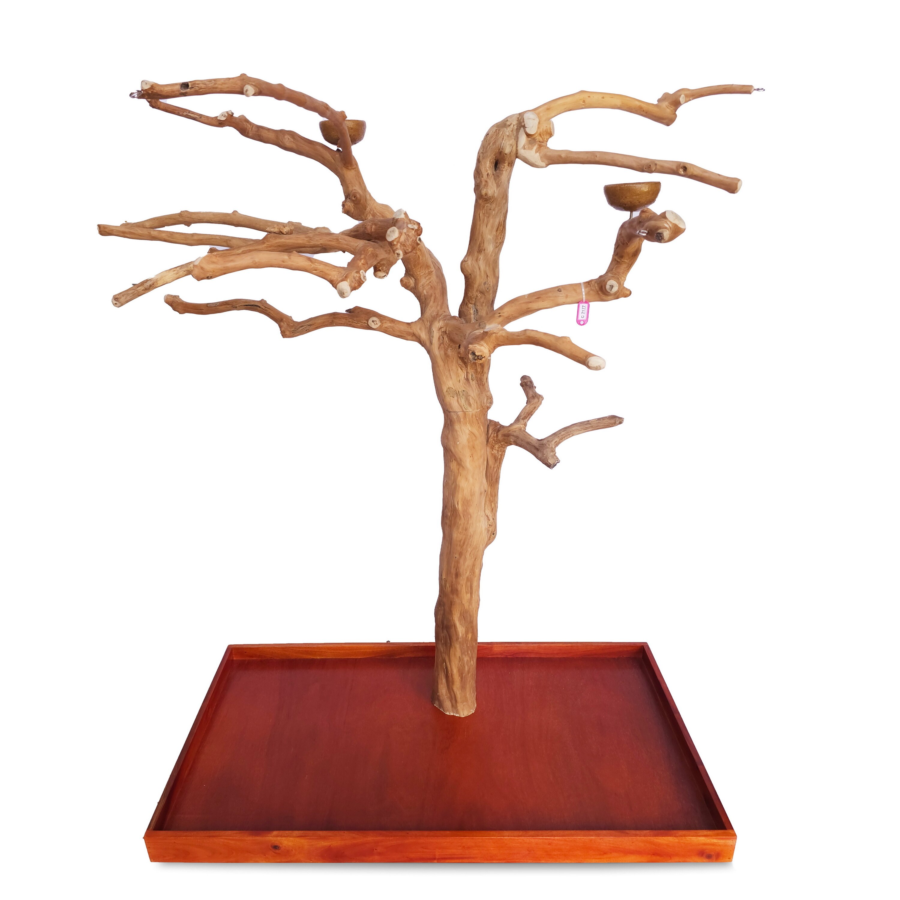 PYT-AE200S-C7177 - 48"x24"x63" Small PYO Java Wood Tree