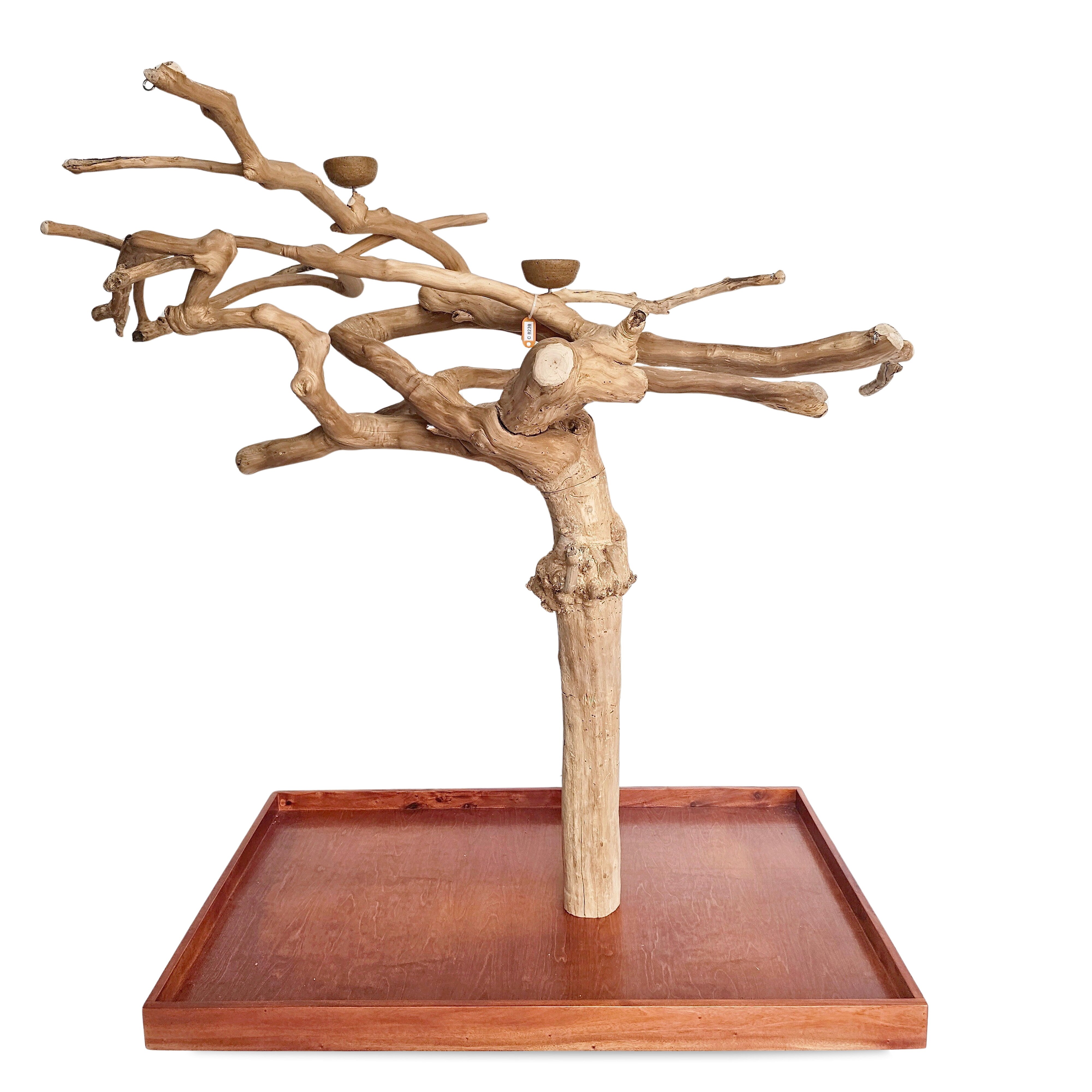 PYT-AE200M-C8238 - 48"x28"x61" Medium Java Wood Tree