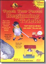 Fantastic Performing Parrots #2 DVD Beginning Tricks