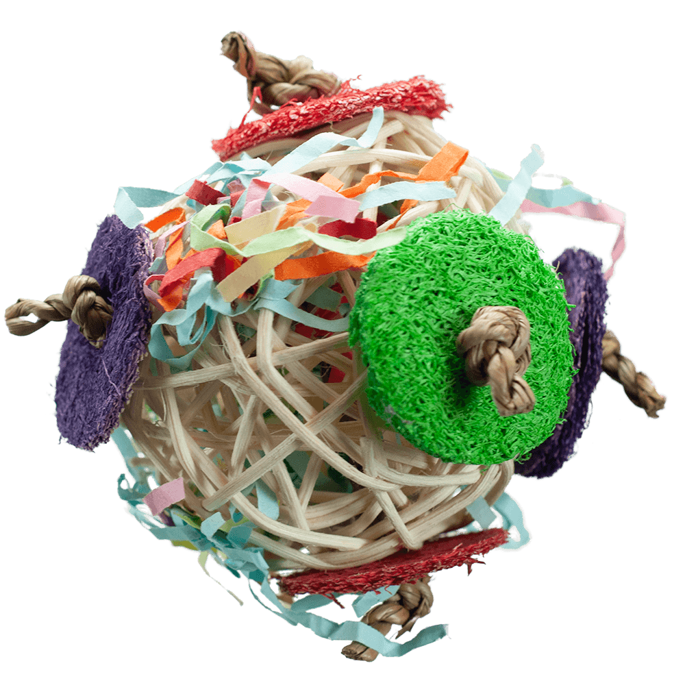 NB061 Circle Chaser Toy